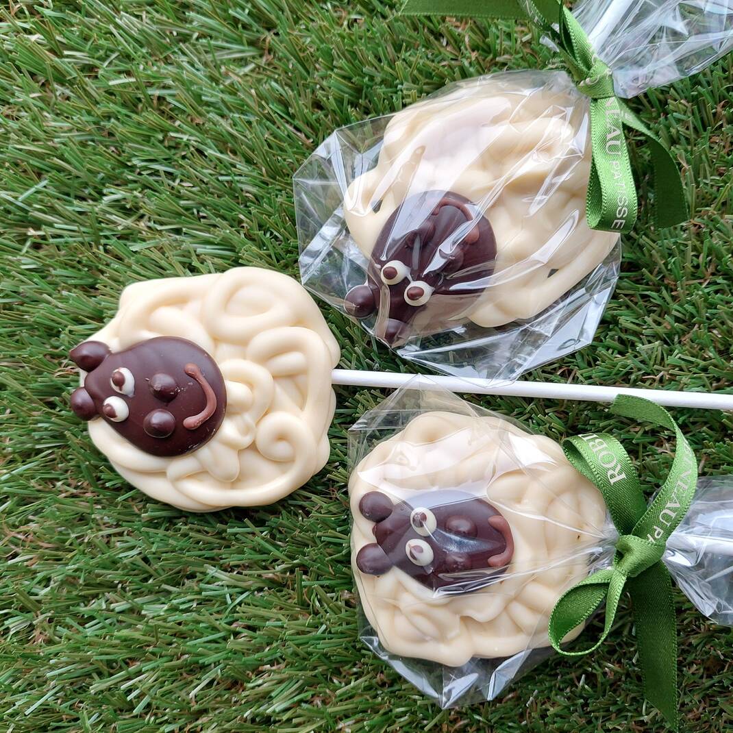Sheep Lollipop - Robineau Patisserie Limited